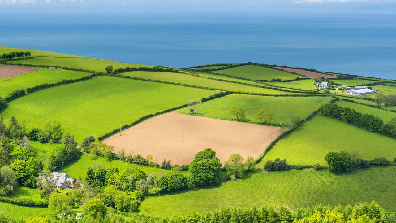 愛しのムーア - Windows スポットライト壁紙 | 高画質4Kダウンロード